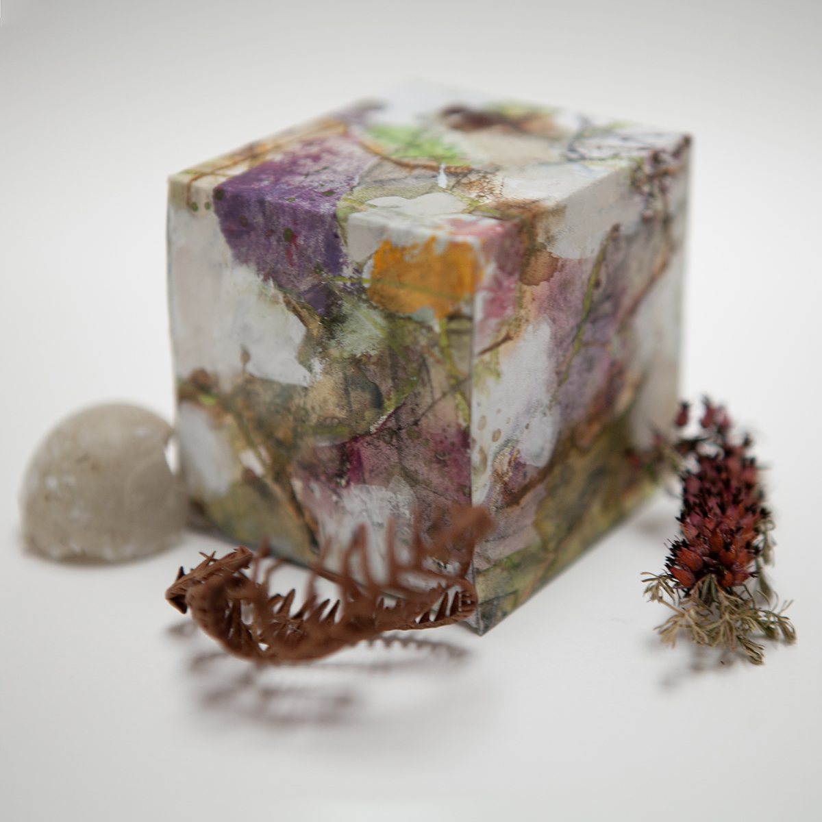 Biome Boxes - Carol Harvey Art